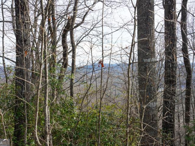 0 High Holly, Unit 3HH, Tiger, GA 30576 | MLS #10674 | Compass