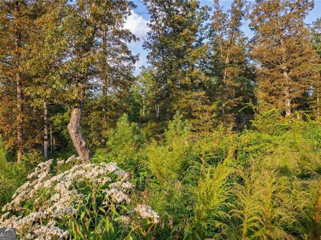 0 High River Road