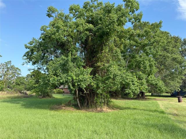 0 Highcrest Dr, Point Blank, TX 77364 | MLS #32063 | Compass
