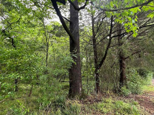 0 Hidden Creek Lane # 1
