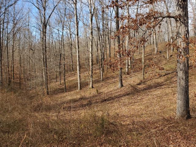 0 Hidden Highlands Ct