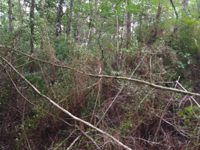 0 Hilda St, Gulfport, MS 39503 | MLS #4115