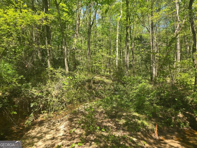 0 Hilltop Lane