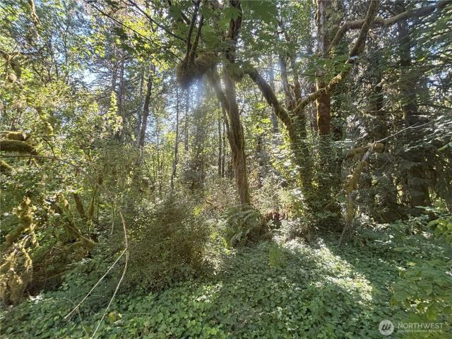 0 Hill Creek Road