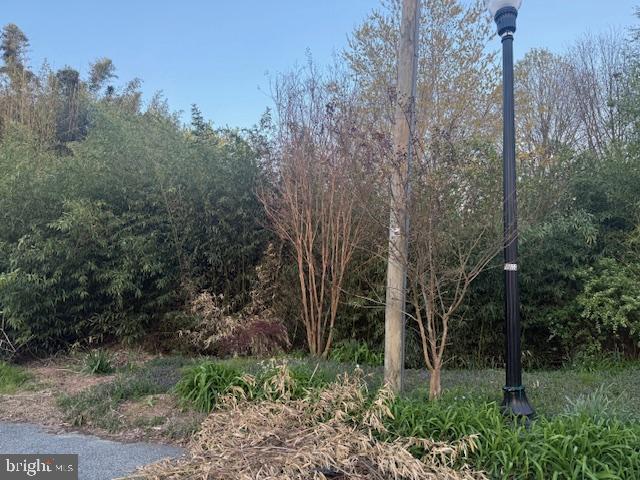 0 Hill St, Suffolk, VA 23434 | MLS #VASF2000