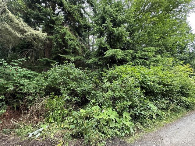 0 Hill St, Port Ludlow, WA 98365 | MLS #2467