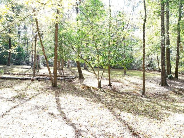 0 Hillbilly Heaven Rd, Livingston, TX 77351 | MLS #28795