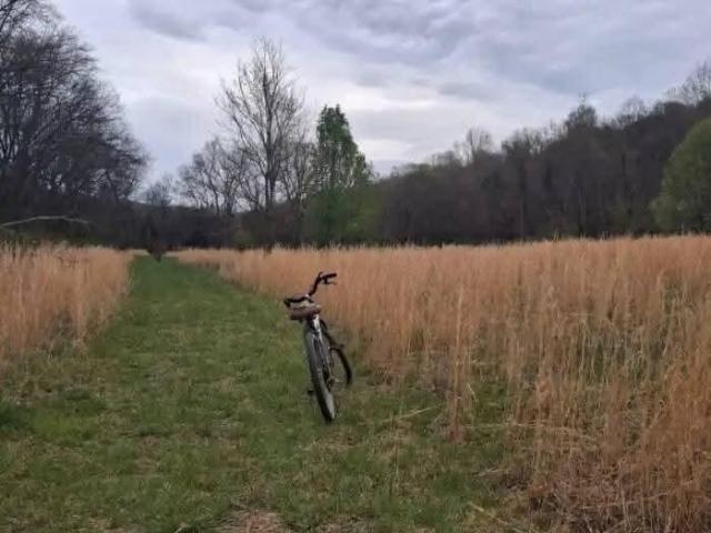 0 Hills Creek RD