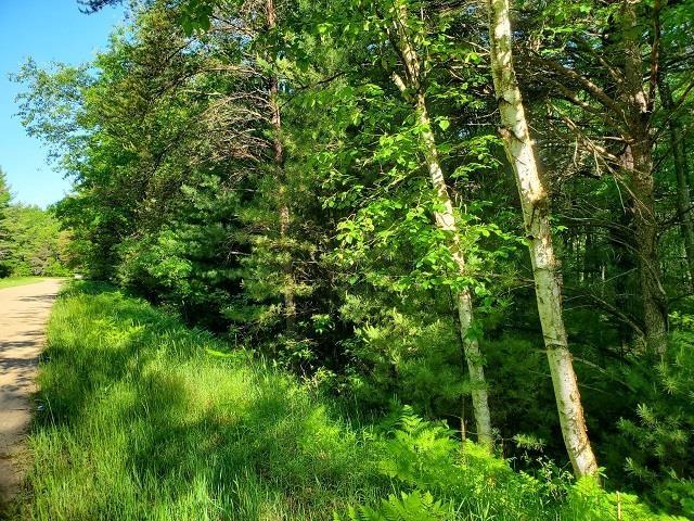 0 Hillside Drive Lot: 62