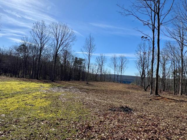 0 Hobbstown Road