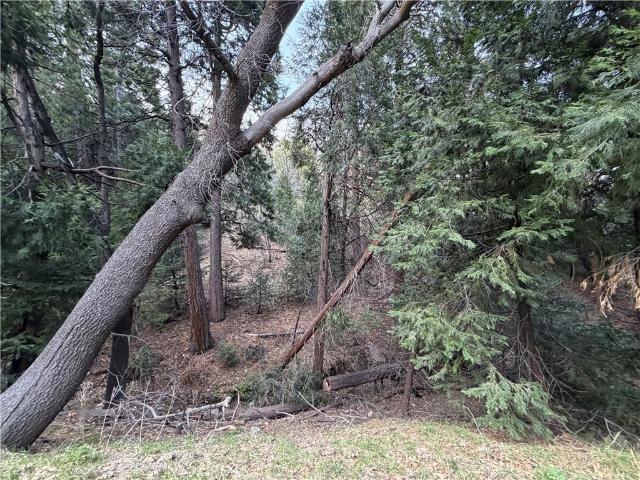 0 Hook Creek
