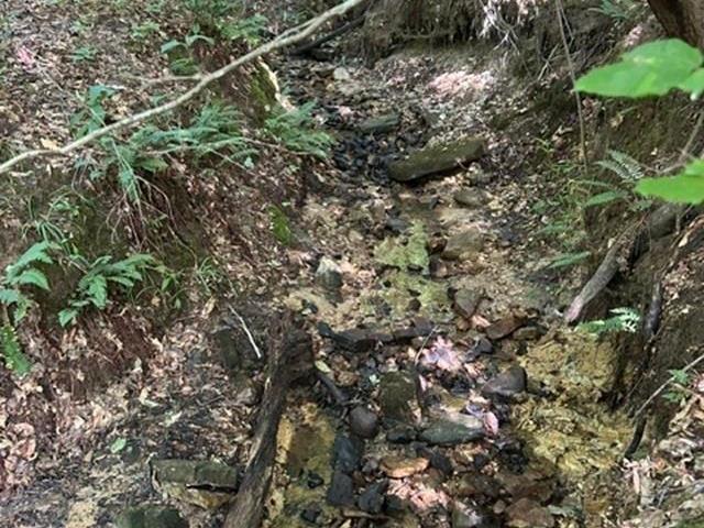 0 Holly Branch Run Road