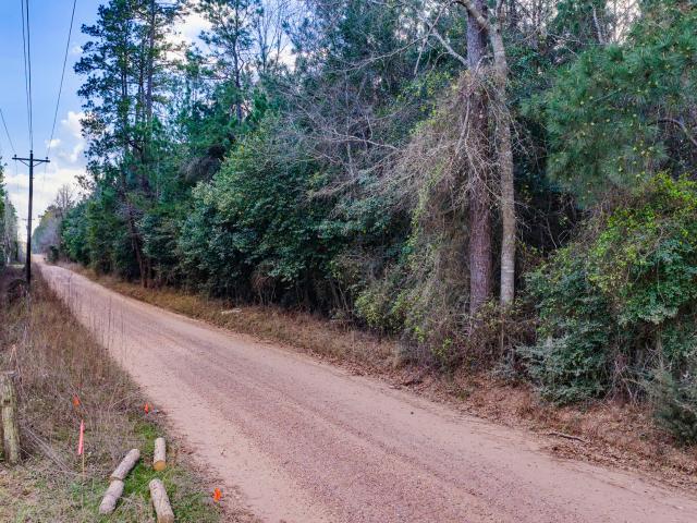 0 Holly Grove Rd, Livingston, TX 77351 | MLS #84617