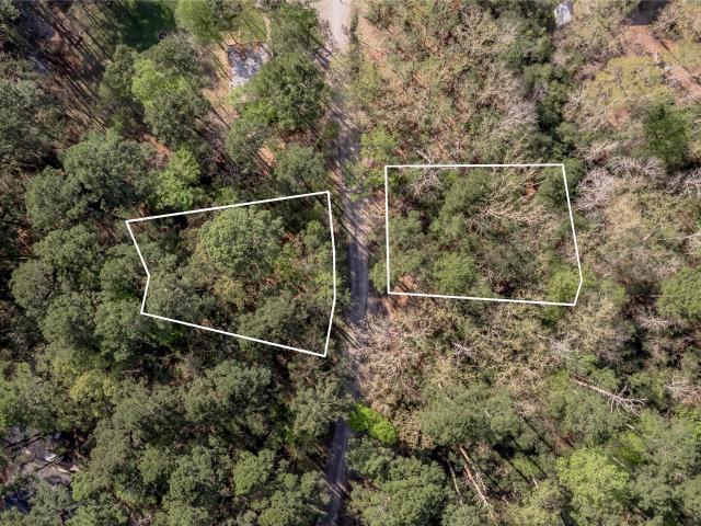 0 Holly Ln, Trinity, TX 75862 | MLS #55560 | Compass
