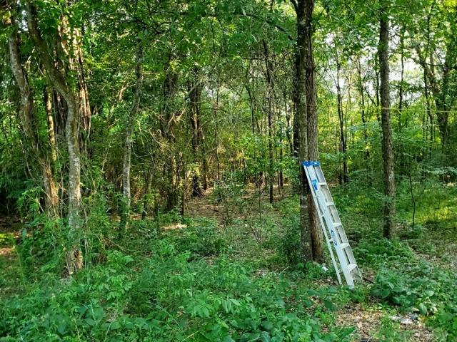 0 Holly Ridge Rd