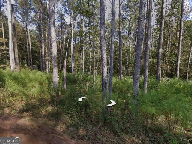 0 Holly Road TRACT 3