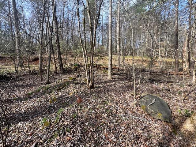 0 Hollybrook Parcel 2 Road