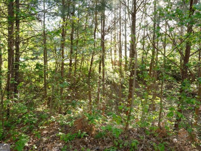 0 Hollyhock Lane