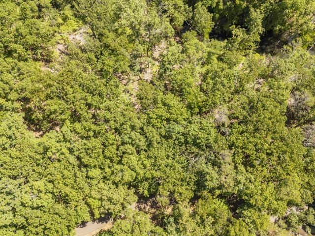 0 hollow tree rd