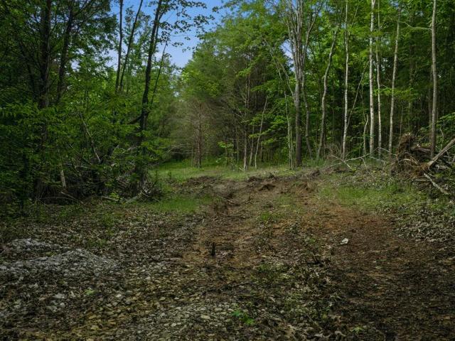 0 Holston Hollow Road