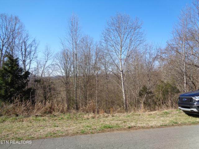 0 holston river dr