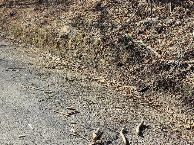 0 Honey Fork Road