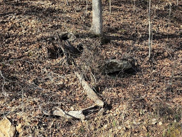 0 Honey Fork Road