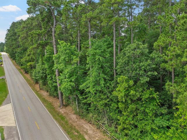 0 Honea Egypt Rd, Montgomery, TX 77316 | MLS #67054 | Compass