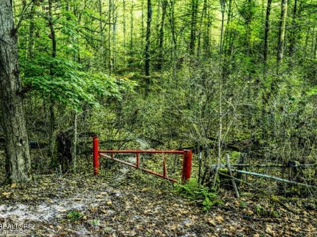 0 Hoskins Gap Rd 0