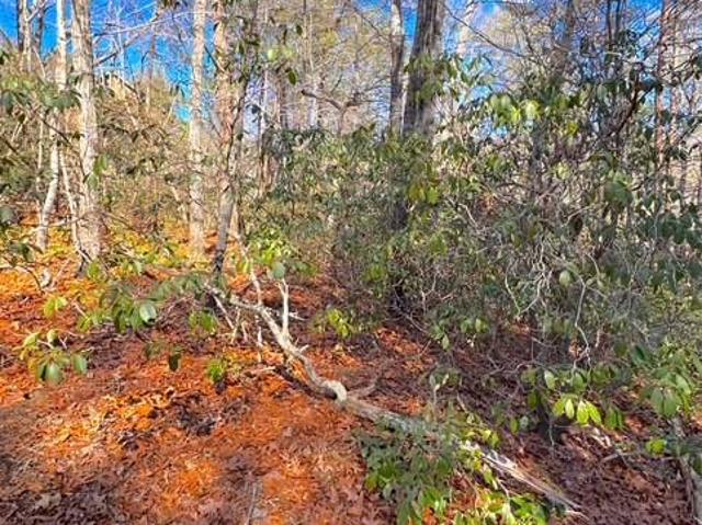 0 Horse Cove Ct, Jasper, GA 30143 | MLS #7721 | Compass