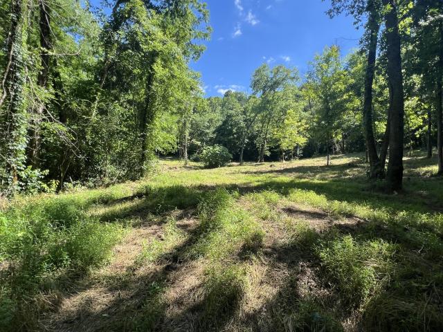 0 Horseshoe Bend Ln