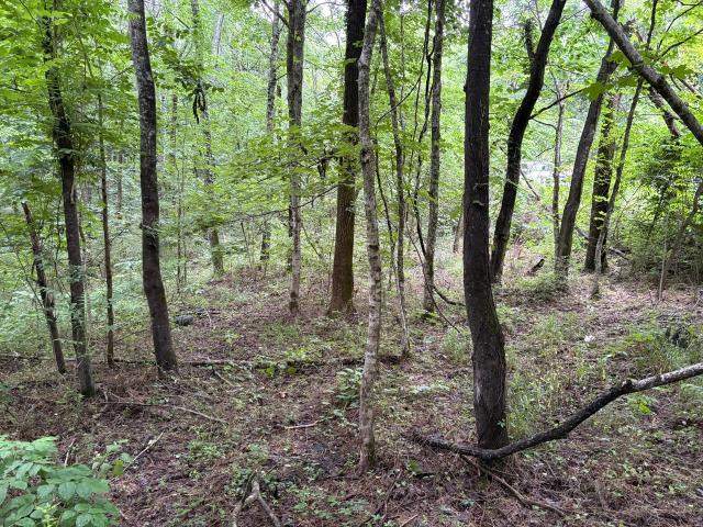 0 Ivy Hollow Rd