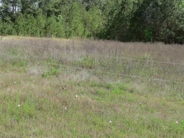 0 Ih 45 Service, Huntsville, TX 77340 | MLS #19977
