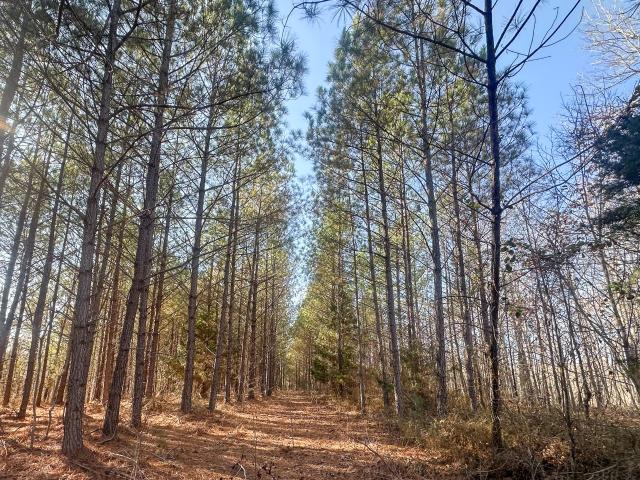 0 Indian Creek Rd