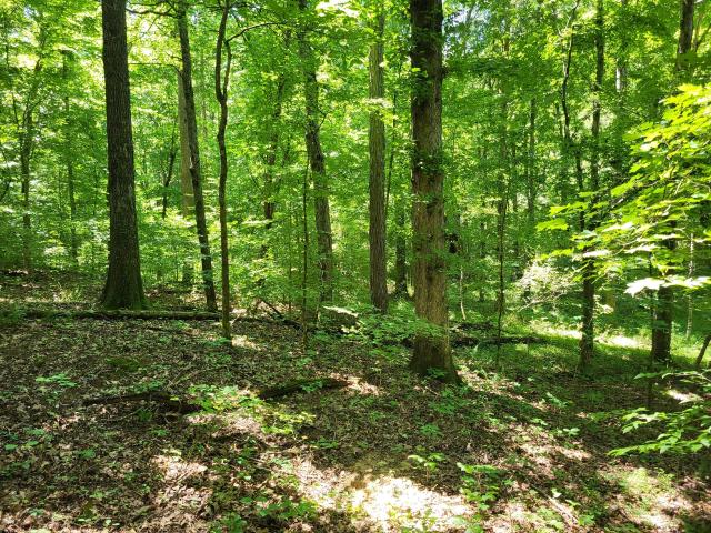 0 Indian Creek RD