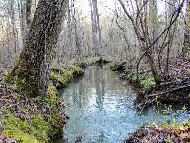 0 Indian Gap Trail # 0