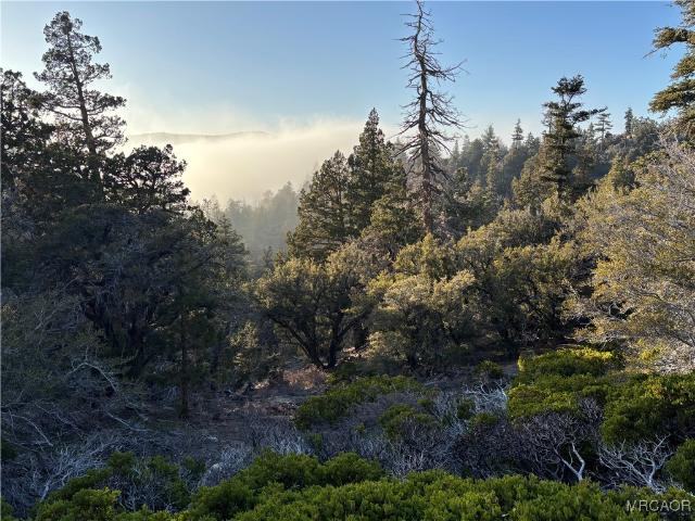0 Ironwood Ln, Angelus Oaks, CA 92305 | MLS #32600