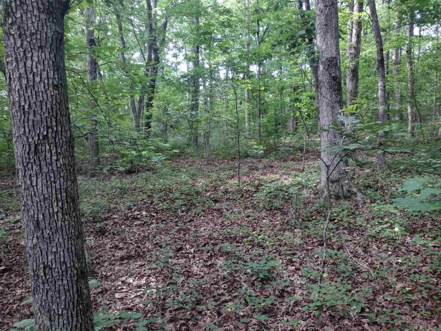 0 Iron Mountain RD
