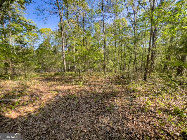 0 June Kemp Rd, Aragon, GA 30104 | MLS #10705 | Compass