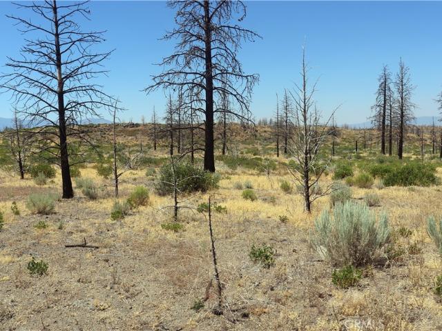0 Juniper Valley Dr, Weed, CA 96094 | MLS #OR26045