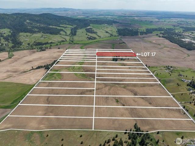 0 Jackson Rd Lot 17, Mica, WA 99023