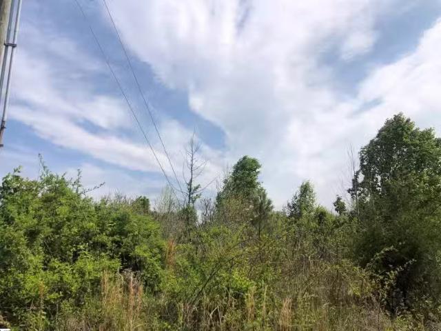0 Jamyn Rd, Cowpens, SC 29330 MLS 1553041