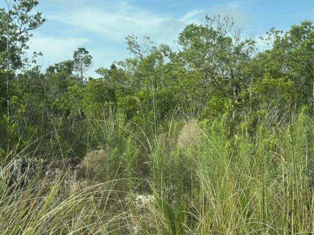 0 Jason Ave, Cocoa, FL 32926 | MLS #1075