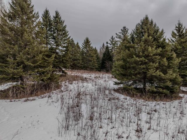 0 Jefferson Rd, Unit TAX MAP 225 LOT 3, Whitefield, NH 03598 | MLS #5079