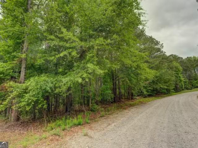 0 Jeffries Road Tract A 32 55, Shady Dale, GA 31085 MLS 1029.