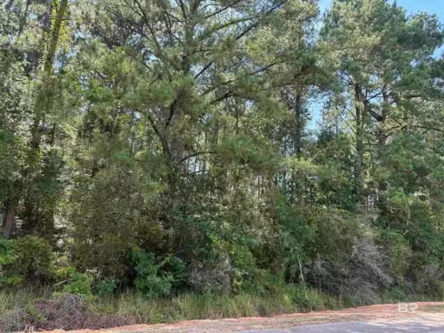 0 JENKINS FARM ROAD, LOXLEY, AL 36551