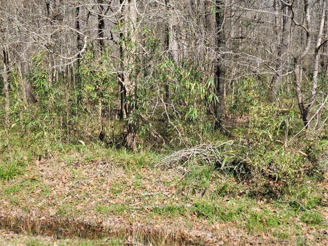 0 Jensen Dr, Cleveland, TX 77327 | MLS #24277 | Compass