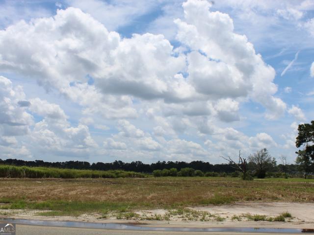 0 Jerico Marsh Rd, Midway, GA 31320 | MLS #10544