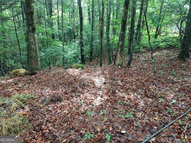 0 Jiminy Peak Lot 3, Sky Valley, GA 30537