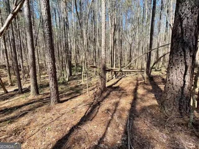 0 Joe Cook Rd #LOT 2, Franklin, GA 30217 MLS 10479466